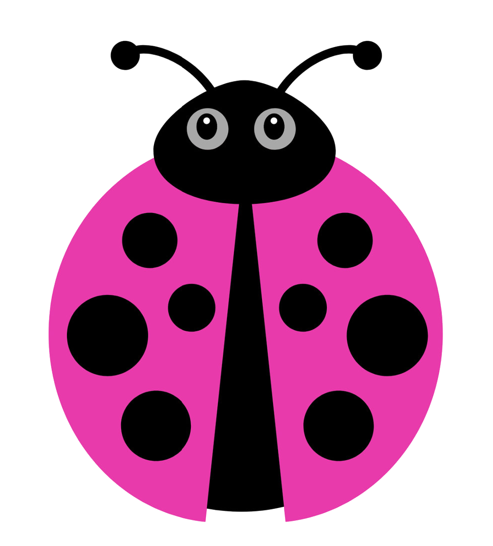 Photo Gallery – Lil Bug Clothing